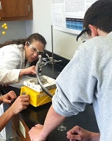 ACS Local Sections Officer Insights September 2024 - ACS Community